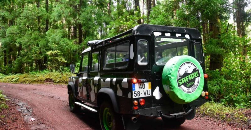 São Miguel Island: Full Day Furnas and Furnas Lake Tour - A Scenic Drive Plus a Quick Stop