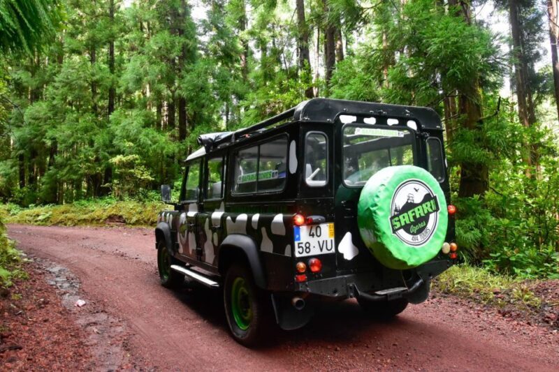 São Miguel Island: Full Day Furnas and Furnas Lake Tour - Panoramic Viewpoints and the Volcano’s Crater