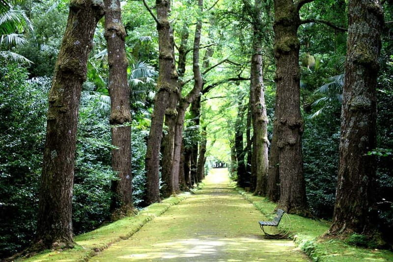 São Miguel Island: Full-Day Furnas and Vila Franca Tour - An In-Depth Look at the São Miguel Full-Day Tour