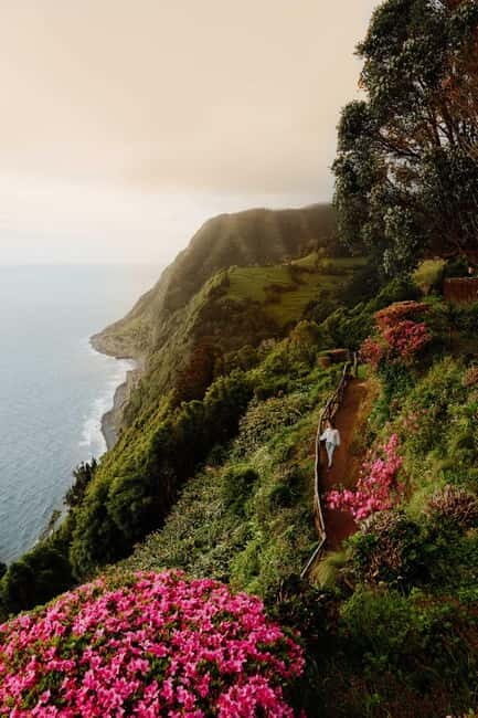 São Miguel Island: Full-Day Ribeira Park and Nordeste Tour - Practical Details and Tips