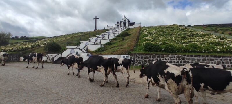 São Miguel Island on Jeep - Value for Money and Practical Tips