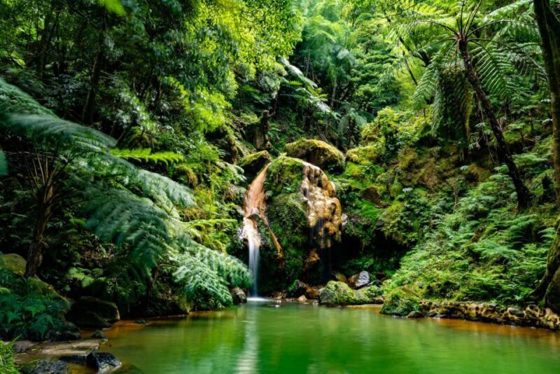Sao Miguel: Jeep Tour to Sete Cidades & Lagoa do Fogo - Key Points