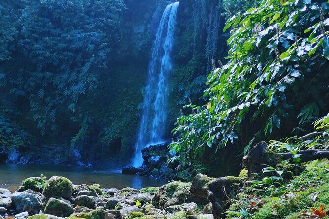 São Miguel: Majestic North Tour (Local Lunch Incl.) - Key Points