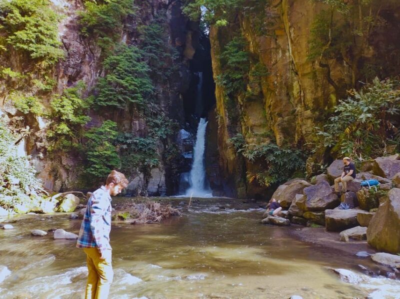 São Miguel: Majestic North Tour (Waterfalls w/Lunch) - Tea Plantations: Sips of Europe’s Rare Tea Production