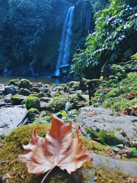 São Miguel: Majestic North Tour (Waterfalls w/Lunch) - Ribeira dos Caldeirões: Waterfalls and Old Water Mills