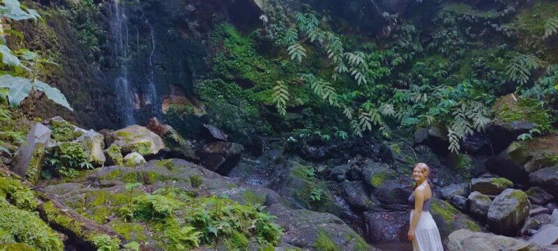 São Miguel: Majestic North Tour (Waterfalls w/Lunch) - Coastal Highlights and Pineapple Plantations