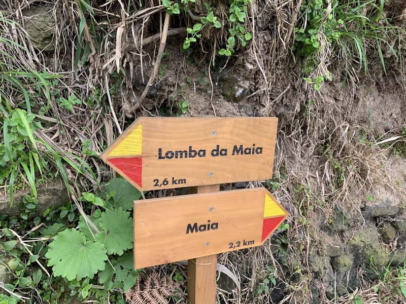 São Miguel: Private Viola Beach Hike & North Coast w/lunch - Key Points