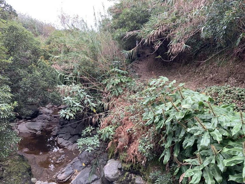 São Miguel: Private Viola Beach Hike & North Coast w/lunch - Authenticity and Value