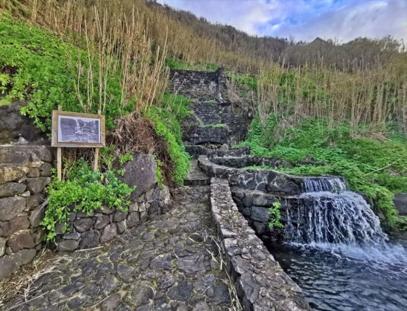 São Miguel: Ribeira Funda Hike & Tea Plantation with Lunch - Authentic Experiences: What Travelers Say