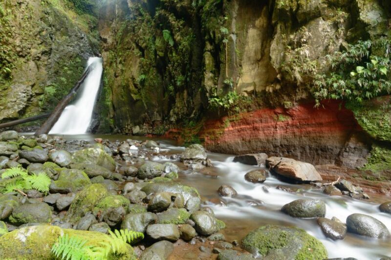 Sao Miguel: Salto do Cabrito Guided Canyoning Experience - What This Tour Offers: A Deep Dive
