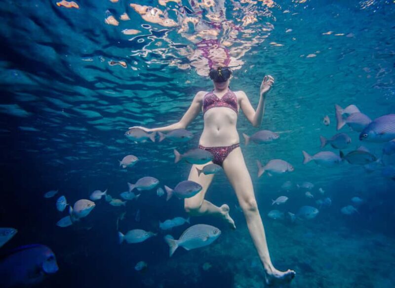 São Miguel: Santa Iria Bay Snorkeling Tour with Music - An In-Depth Look at the Santa Iria Bay Snorkeling Tour