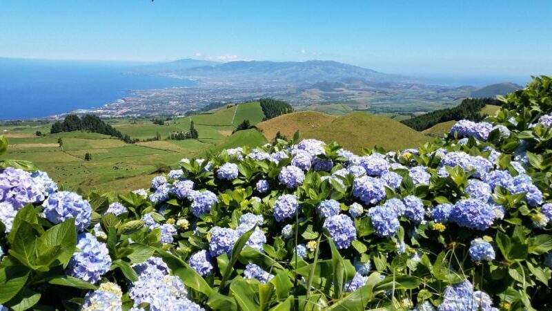 São Miguel: Sete Cidades and Lagoa do Fogo Full-Day Tour - Final Thoughts: Who Should Consider This Tour?