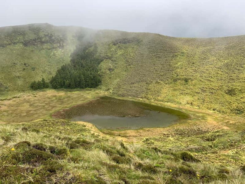 São Miguel: Sete Cidades Hiking, Picnic & Swim in Mosteiros - Picnic in a Picturesque Setting