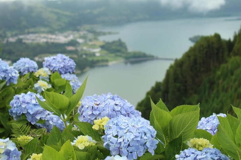 São Miguel: Sete Cidades & Pineapple Plantation Tour - The Practicalities and Value