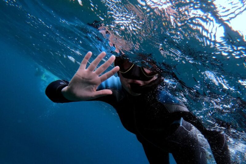 Sao Miguel: Snorkeling around Vila Franca do Campo - Key Points