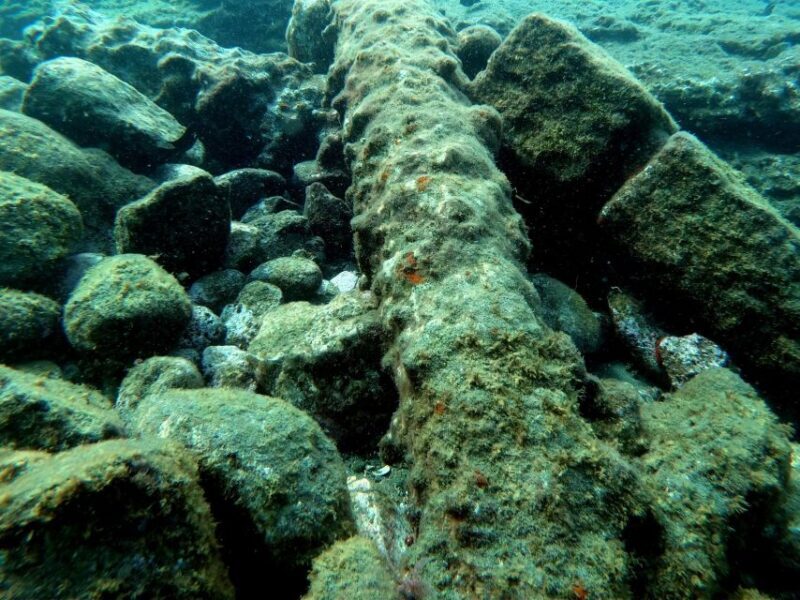 Sao Miguel: Snorkeling around Vila Franca do Campo - What You Can Expect from This Snorkeling Tour