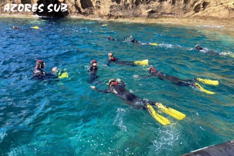 Sao Miguel: Snorkeling around Vila Franca do Campo - The Guides and Equipment