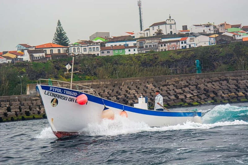 Sao Miguel: The Art of Traditional Fishing - Practical Details and Value