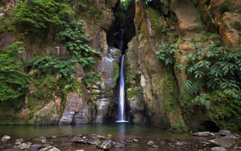 São Miguel West: Full-Day Van Tour with Lunch - Why This Tour Works for Travelers