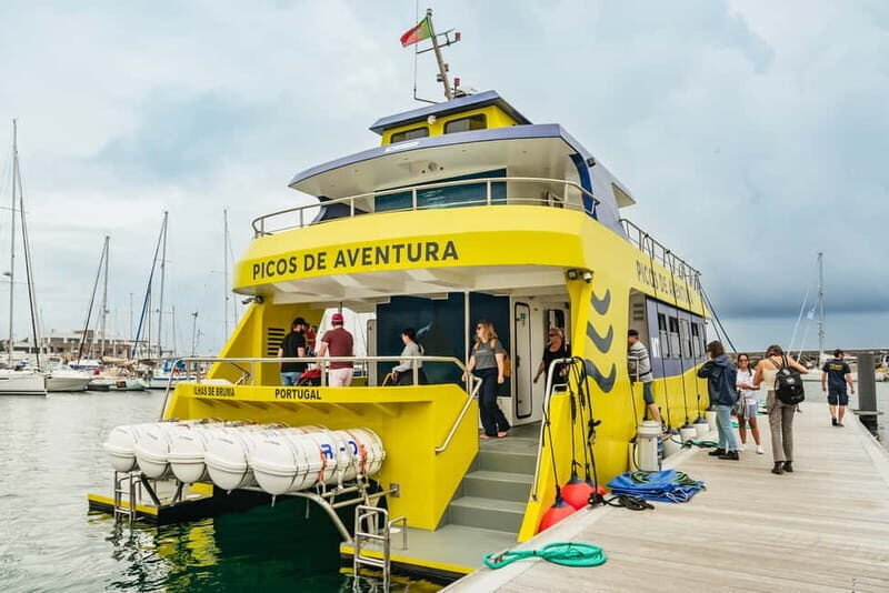 São Miguel: Whale-Watching Cruise with Marine Biologist - Practical Tips for Your Trip