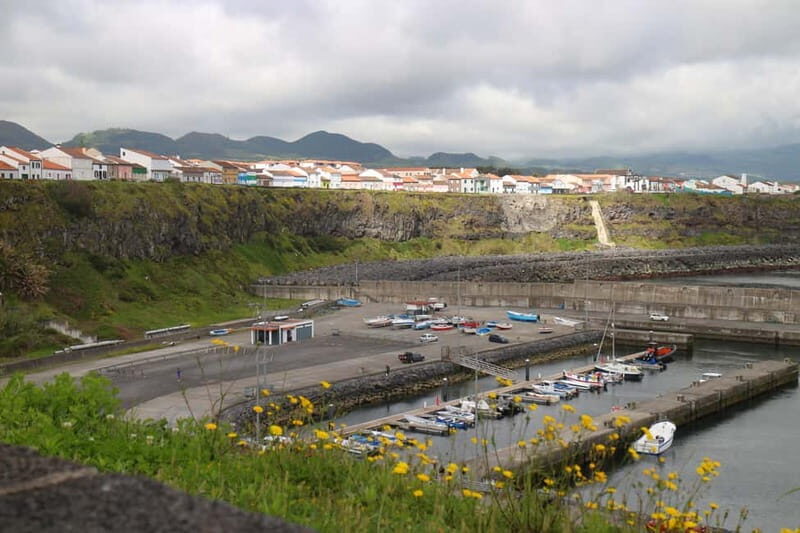 São Miguel:Rabo de Peixe From the Market to the Harbour Tour - What Reviewers Say