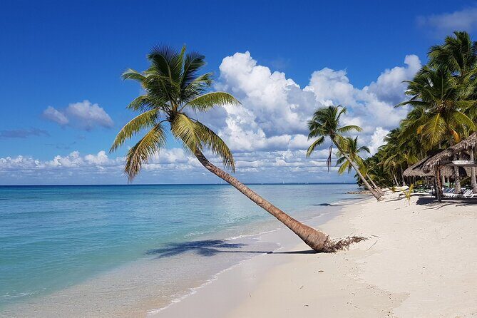 Saona Bayahibe Island Day Trip - FAQ