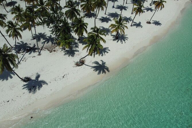 Saona by Speedboat: Private Beach & Snorkeling  Small Group - The Cost and Value