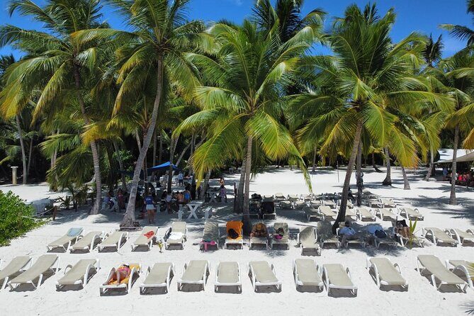 Saona by Speedboat: Private Beach & Snorkeling  Small Group - Final Thoughts