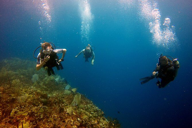Saona Diving - Final Thoughts