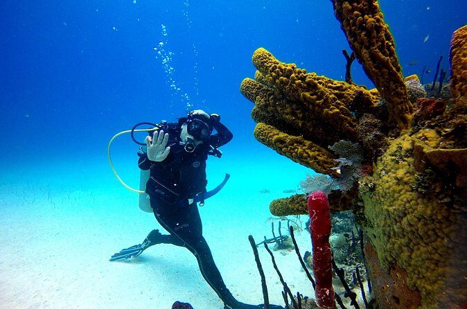 Saona Diving - Frequently Asked Questions