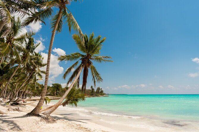 Saona full day with Food and drinks - Key Points