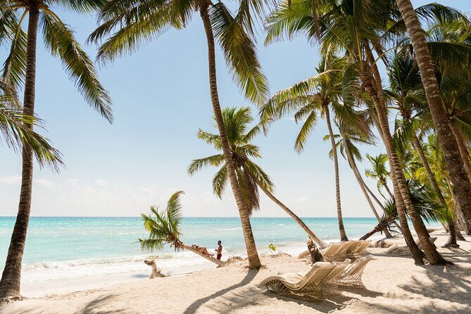 Saona full day with Food and drinks - Full Breakdown of the Experience