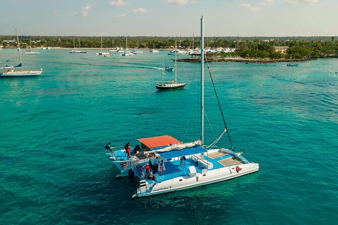 Saona full day with Food and drinks - The Bottom Line: Is it Worth It?