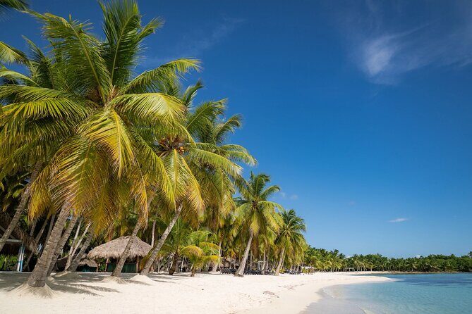 Saona in Punta Cana - Setting Sail for Saona: The Itinerary Breakdown