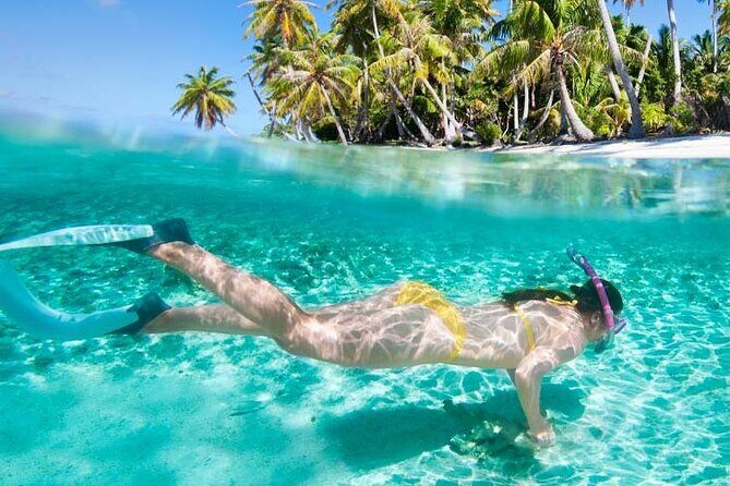 Saona Island 3 Beaches - An In-Depth Look at the Saona Island 3 Beaches Tour