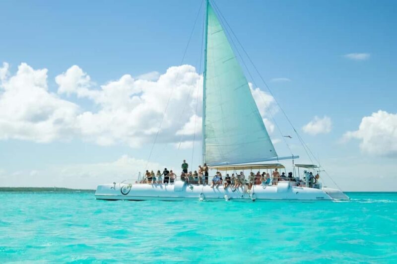 Saona Island Adventure from Punta Cana - What to Expect at Each Stop and Activity