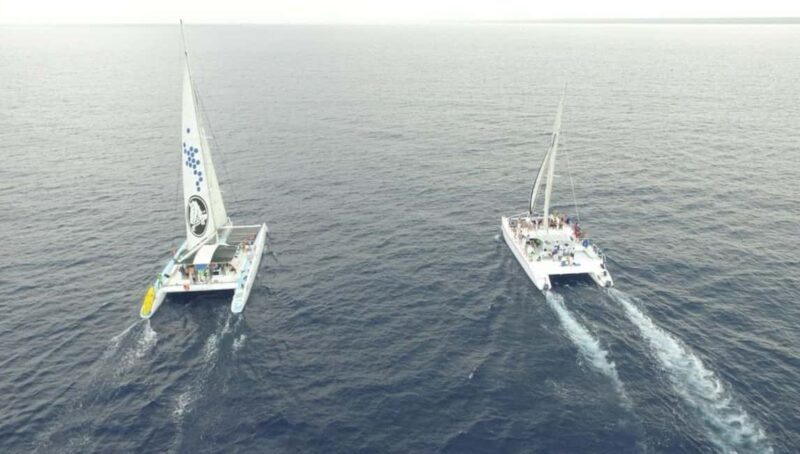 Saona Island all day with lunch and open bar departing from Punta Cana - Final Verdict: Who Will Love This Tour?