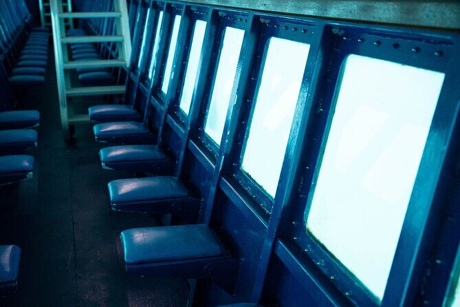 Saona Island at Yellow Submarine Exclusive Tour from Punta Cana - The Full Experience: What to Expect