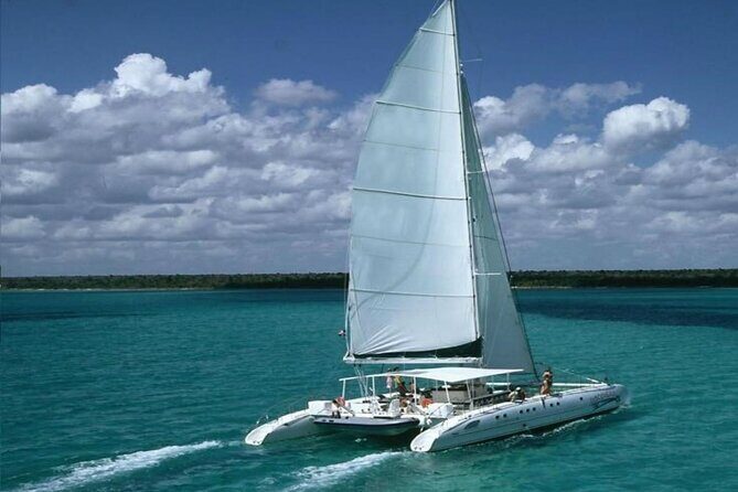 Saona Island Catamaran Adventure with Free Food and Transportation - Key Points