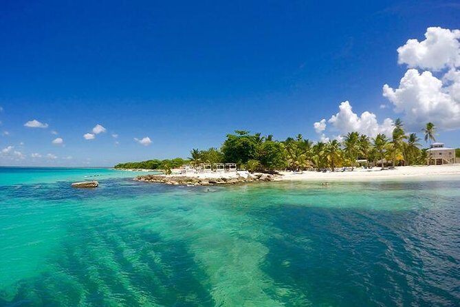 Saona Island Catamaran Cruise Experience (All Inclusive) - Real Traveler Insights