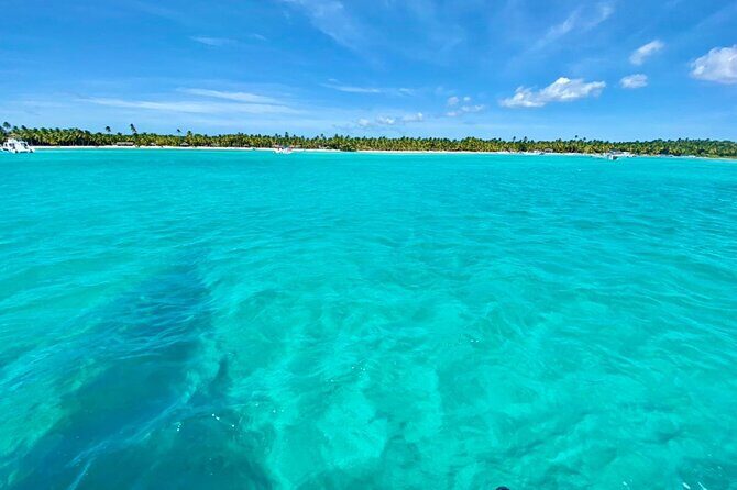 Saona Island Catamaran Cruise Experience (All Inclusive) - The Sum Up: Who Is This Tour Best For?