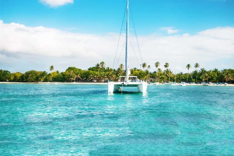 Saona Island Catamaran Cruise with Buffet - Key Points