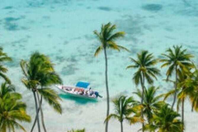 Saona Island Catamaran Speedboat Tour to a Dream Beach - Final Thoughts: Is It Worth It?