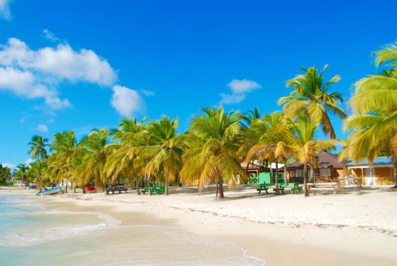 Saona Island & Chavon River Tour with Lunch & Drinks - Authentic Review Snippets