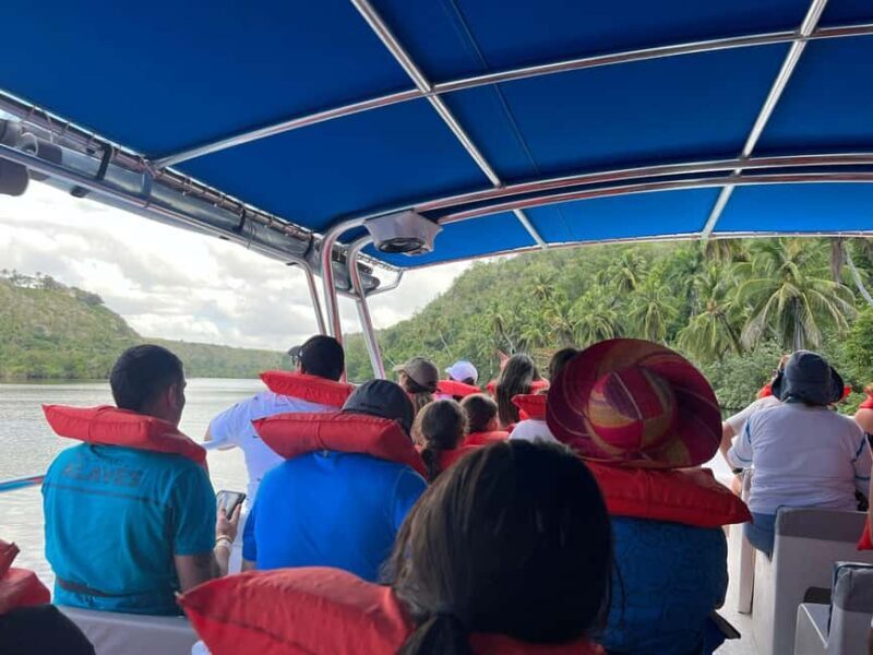 Saona Island & Chavon River Tour with Lunch & Drinks - FAQ