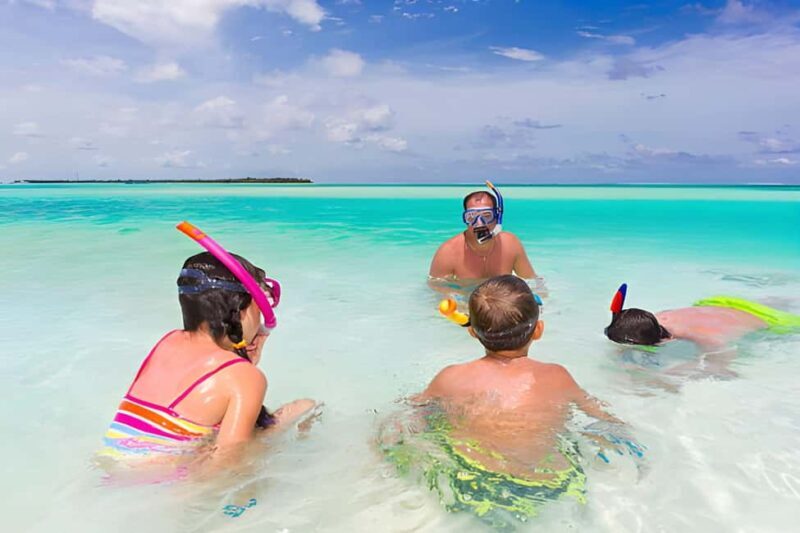 Saona Island Day Tour from Punta Cana with Lunch & Open Bar - An Overview of the Tour Experience