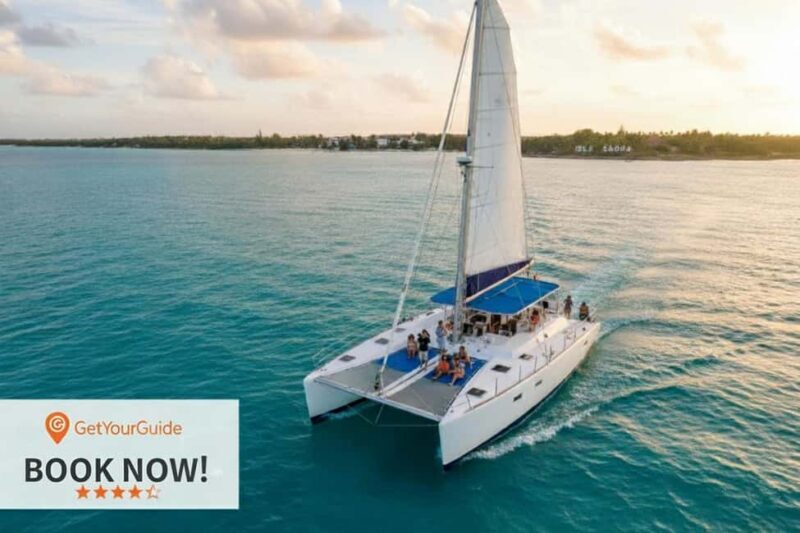 Saona Island Day Tour from Punta Cana with Lunch & Open Bar - What to Do on Saona Island