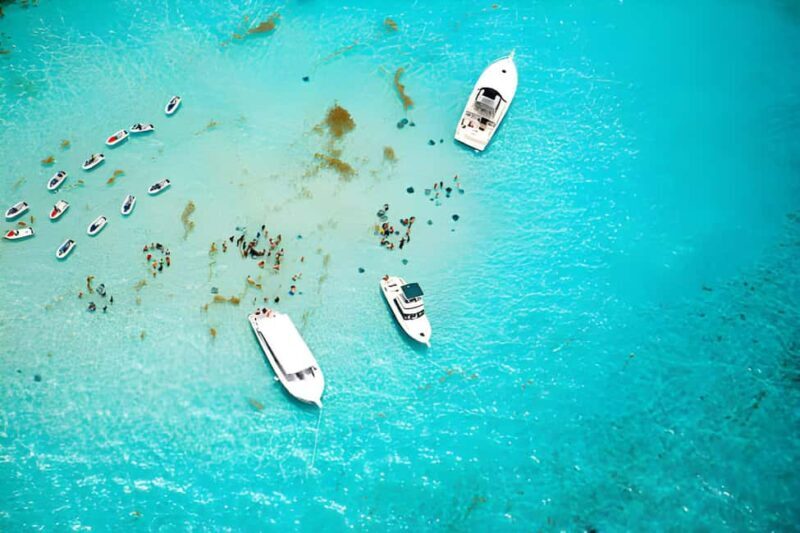 Saona Island Day Tour from Punta Cana with Lunch & Open Bar - Practical Details and Tips