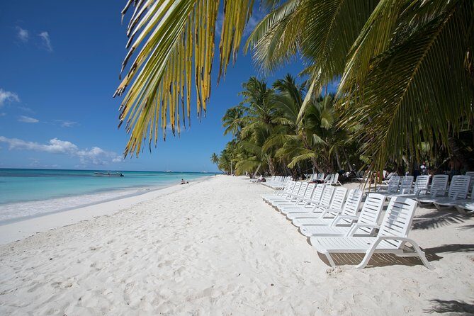 Saona Island Day Trip From Punta Cana with Lunch and Open Bar - Overview: What’s the Tour All About?