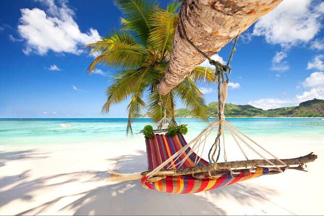 Saona Island Day Trip From Punta Cana with Pick Up and Open Bar - The Itinerary Breakdown: What to Expect